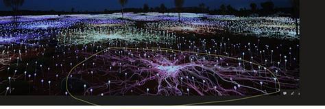 Neural Network Pattern Diagram Grasshopper Mcneel Forum