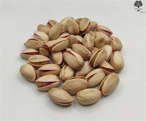 Greek Aegina Pistachio Nuts Unsalted And Roasted In Shell Pdo Product Agora Market