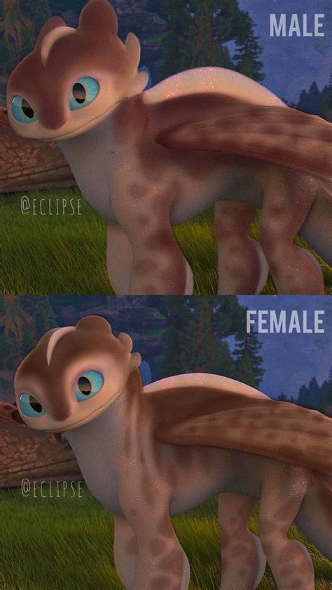 Light Fury Male And Female Redesign