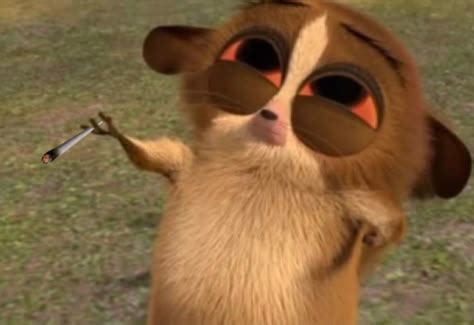 Mort Madagascar Wallpaper