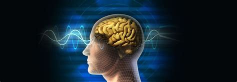 The Shrinking Brain Causes Effects And Protection Tips