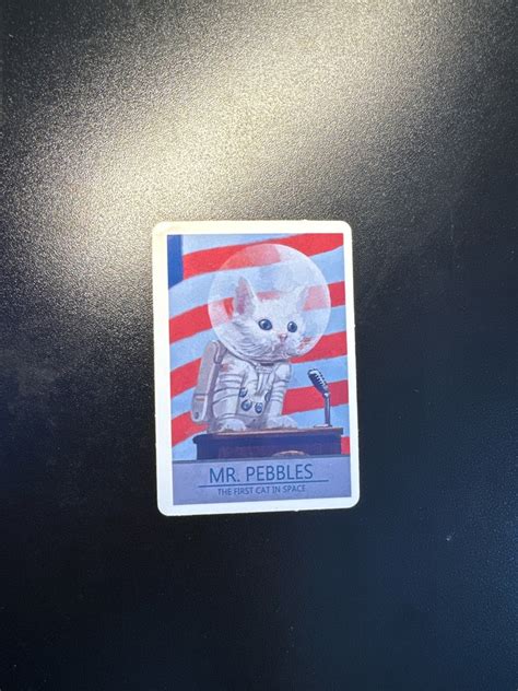Mr Pebbles The First Cat In Space Vinyl Sticker Fallout Vinyl Sticker