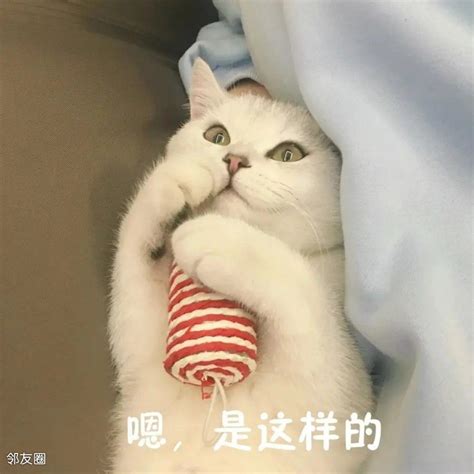 累死了累死了 吼吼o回龙观社区网