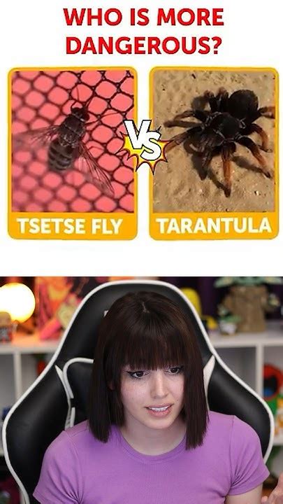 کدوم حیوون خطرناک تره؟😱 Youtube