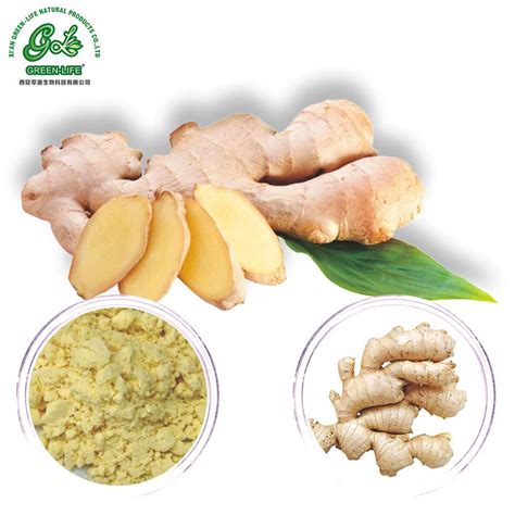 Ginger Root Extract Powder Health Benefits And Applications