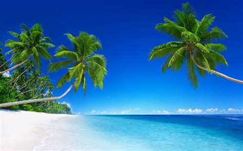 Beach Trees Sea Sky Tropical Island Sea Beach Landscape Green Coconut