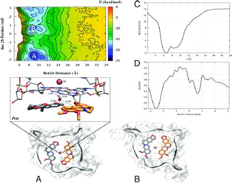the fes of berberine g4 dna computed as a function of d in angstroms