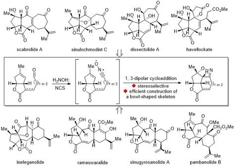 Exploration Of Intramolecular 1 3 Dipolar Cycloaddition Reactions For