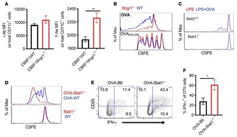 Jci Ifn γr Stat1 Signaling In Recipient Hematopoietic Antigen
