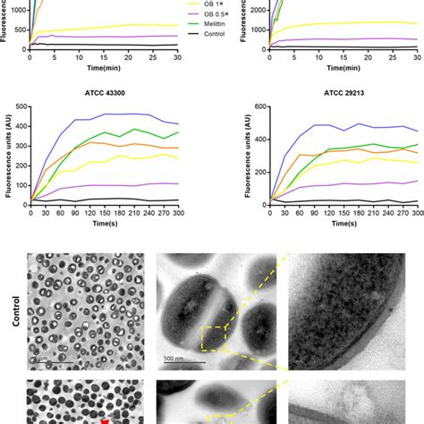Chemical Structure Of Otilonium Bromide Download Scientific Diagram