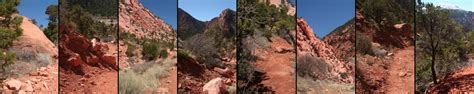 Red Hollow Trail Cedar City North Mountain Bike Area Ultimate Guide