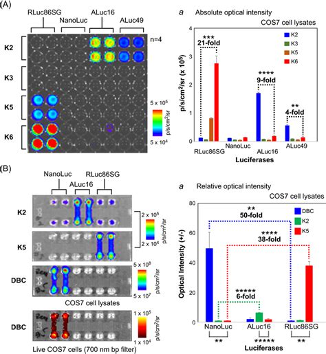 A The Optical Intensity Matrix Between Selected Synthetic Luciferins