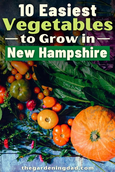 12 Best Vegetables To Grow In New Hampshire 2023 Guide Easy