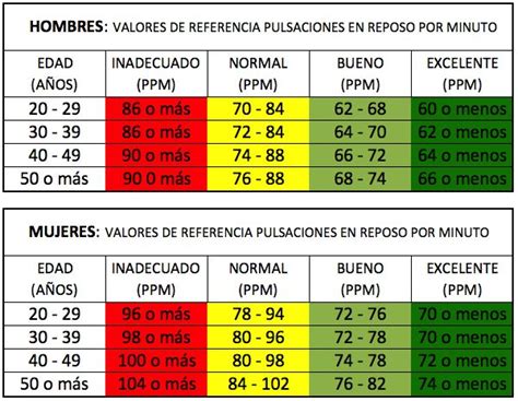 Pulsaciones Normales Por Edades En Reposo