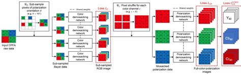 Two Step Color Polarization Demosaicking Network