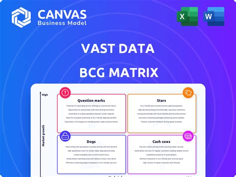 Vast Data Bcg Matrix Analysis