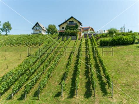 Prodaja Kuća Vrhovac Grandić Breg Samostojeća 125m2 Prodaja