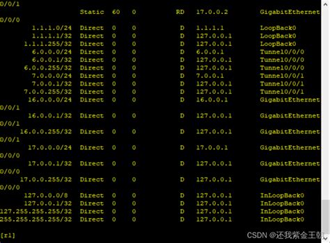 gre与ospf配置实践 csdn博客
