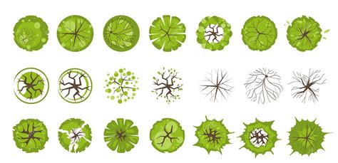 Premium Vector Trees And Bushes Top View For Architectural And