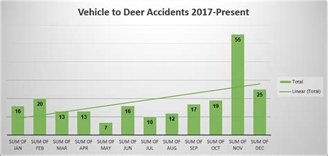 Watch Out For Deer On The Road Article The United States Army