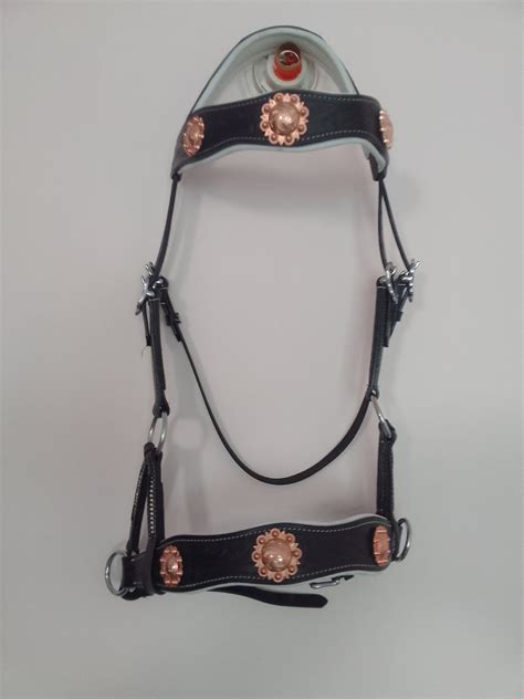 Bridle Sidepull Back Leather Rose Gold Concho With Reins Size Full Etsy