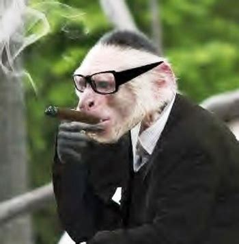 MONKEY SEE MONKEY DO Devotional MONKEY SEE MONKEY DO Devotional