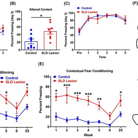 Chemo‐activation Of Sld‐ms Pathway Reduces Fear Memory Consolidation