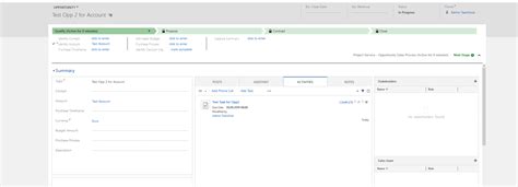 When Creating New Crm Dynamics Custom Activity Entity Is The New