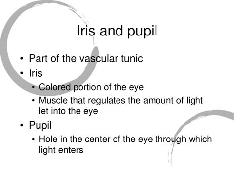Ppt Somatic Nervous System And Special Senses Powerpoint Presentation
