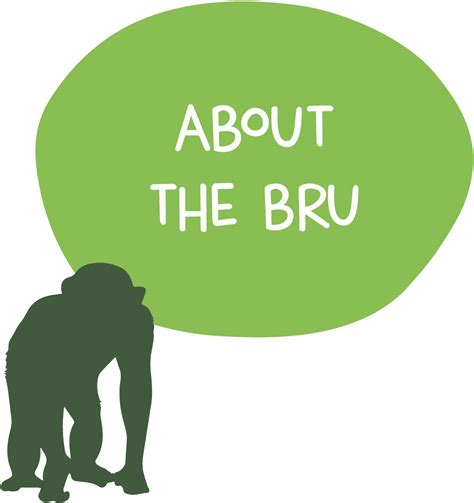 Bru Kiosk Home Page