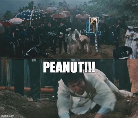 Fist Of Furry Peanut The Squirrel Pnut Know Your Meme