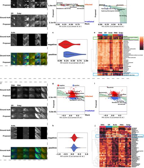 Reconstruction Visualization Of Lea And Quantitative Comparison Of Drug Download Scientific