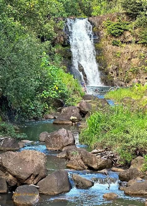 Hawaii Falls Botanical Gardens