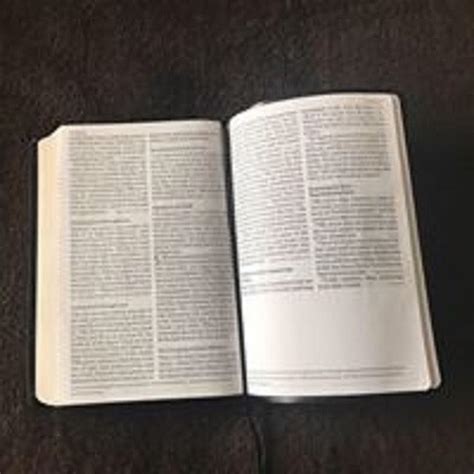 Jack Coltrane Youtube