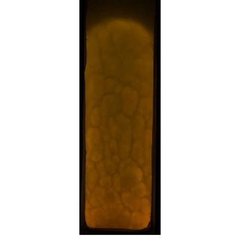 The Flame Cellular Structures Download Scientific Diagram