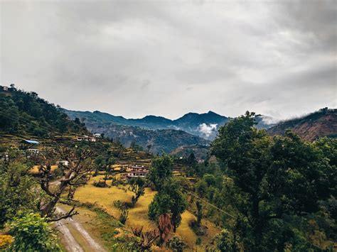 Deepak Trivedi 사진