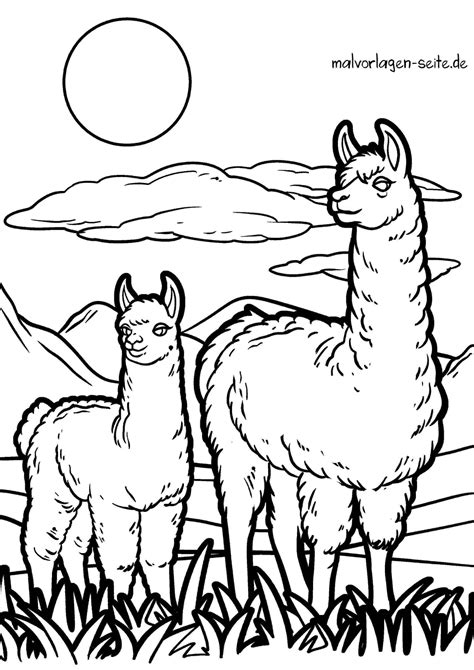 Malvorlage Lamas Ausmalbild Kostenlos Herunterladen