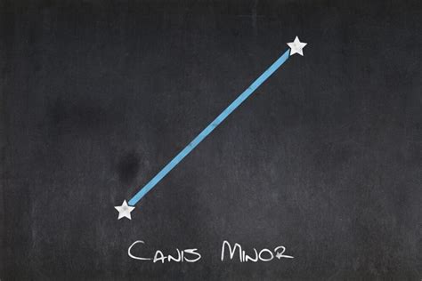 Premium Photo Canis Minor Constellation Drawn On A Blackboard