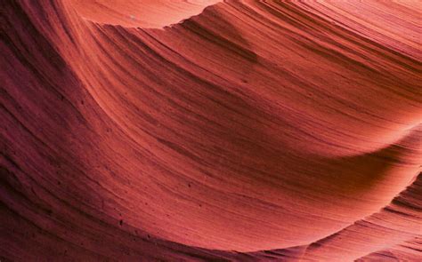 What Is The Future Of Healthcare Data Management And Fhir Apis