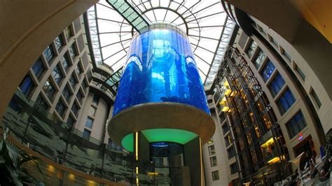 El Gigantesco Acuario Con Un Millón De Litros De Agua Y 1500 Peces Que