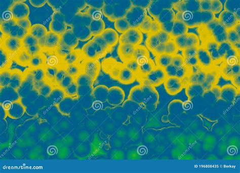 Microscopic Bacterium And Bacillus Bacteria Micro Organisms Stock Image Image Of Human