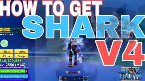 How To Get Shark Race V4 In One Video Blox Fruits Full Guide