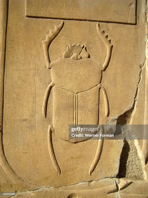Hieroglyph Of A Scarab Beetle From A Temple Inscription Egypt News