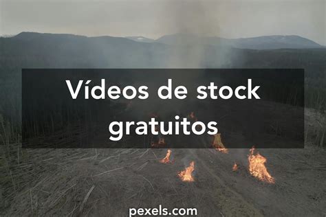 Los Mejores 40 000 Vídeos De Bosque Quemandose · Banco De Imágenes Gratis · Vídeos De Archivo