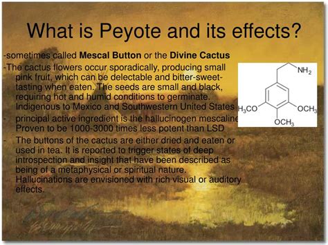 Ppt Peyote Powerpoint Presentation Free Download Id5316432