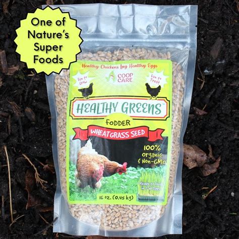 Coop Care Healthy Greens Wheatgrass Fodder Chicken Feed 16 Oz Pouch