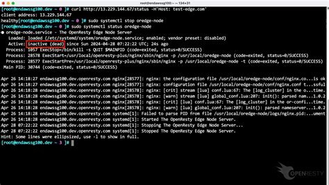 在 Openresty Edge 中启用网关服务器的自动健康检查 Openresty 官方博客