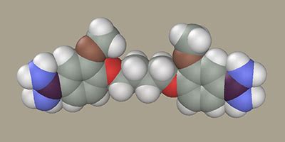 How To Simulate DNA Ligand Interactions