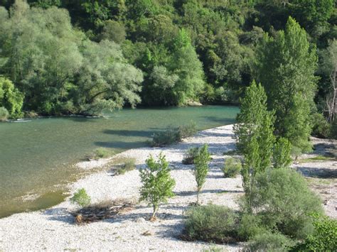 Ihcantabria Desarrolla Proyectos Que Promueven La Conservación De Los Bosques De Ribera Y Su