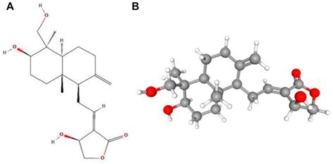 Frontiers Andrographolide A Natural Anti Inflammatory Agent An Update